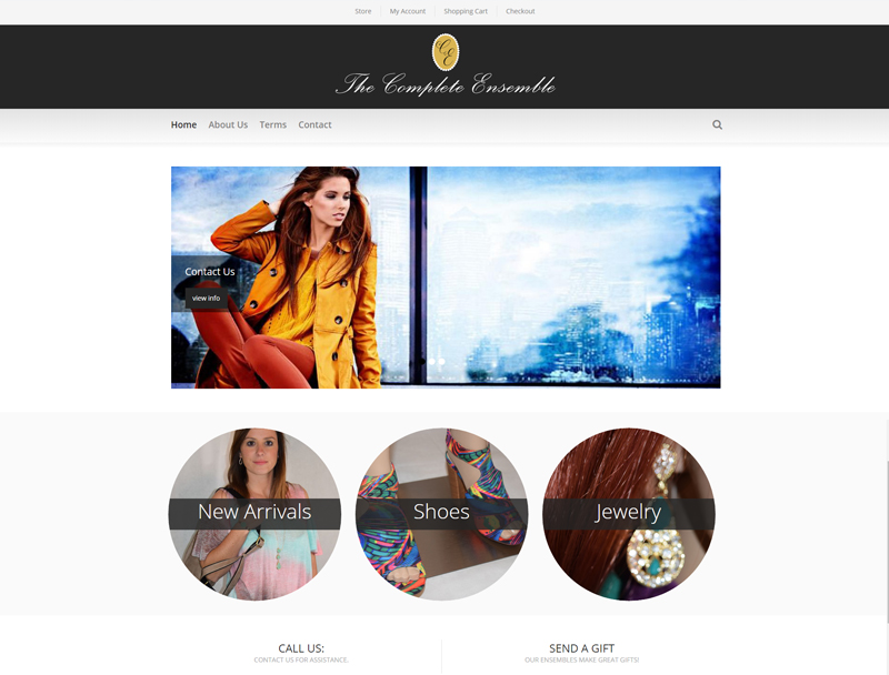 Portfolio :: Your Web Guys